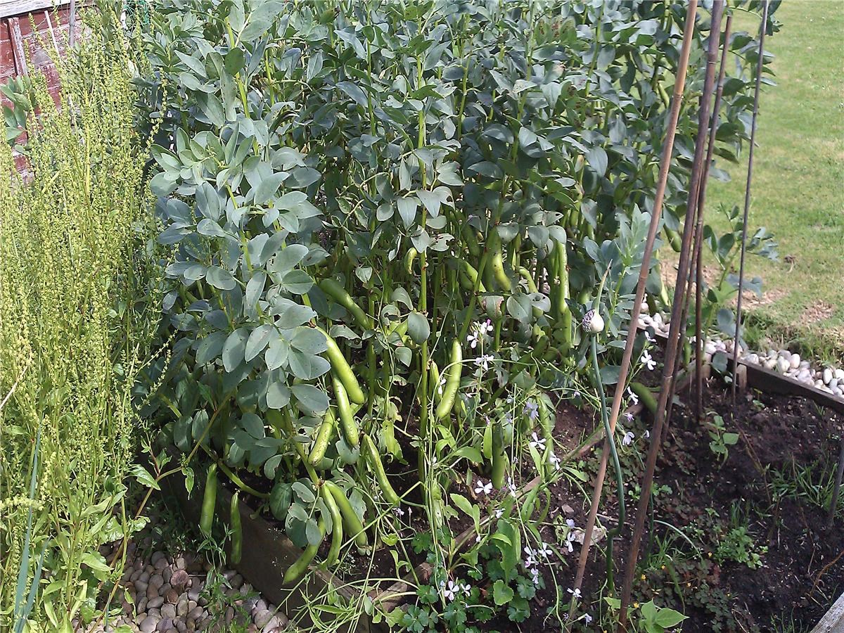 Property to rent in Balgreen, EH12, Balgreen Park properties from ...