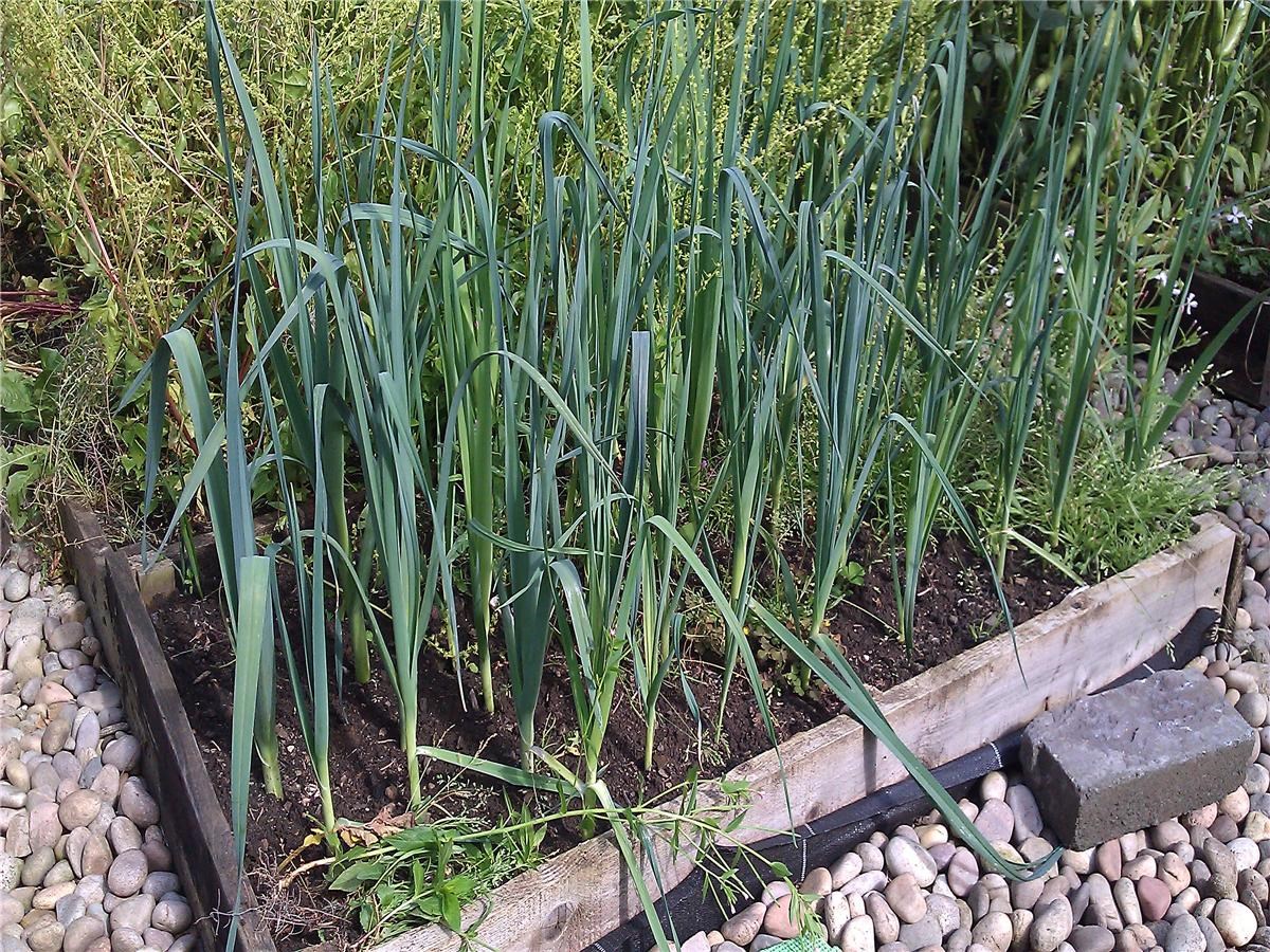 Property to rent in Balgreen, EH12, Balgreen Park properties from ...