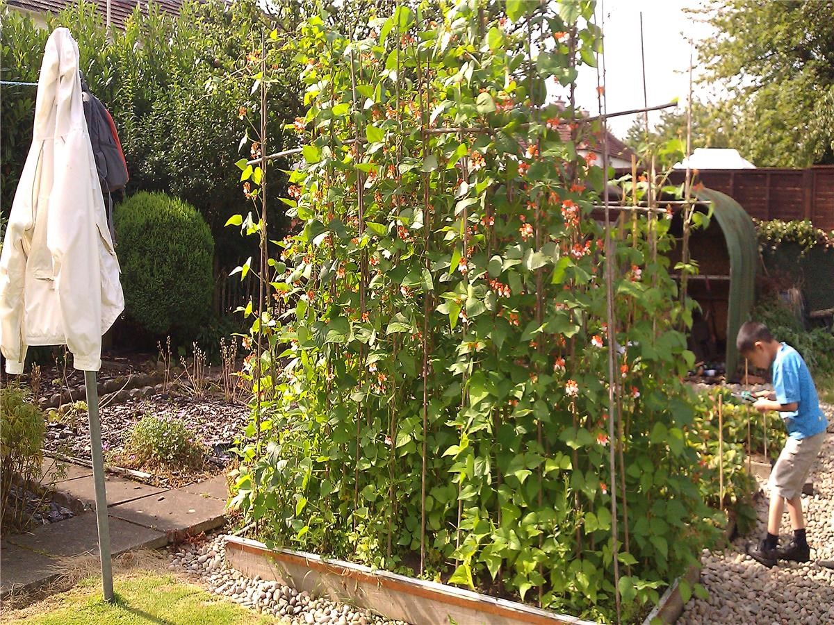 Property to rent in Balgreen, EH12, Balgreen Park properties from ...