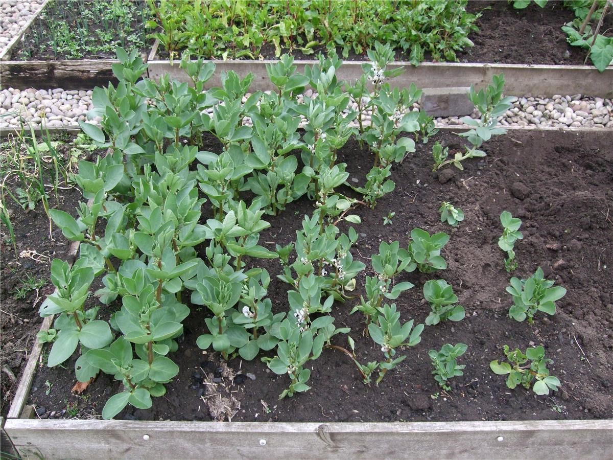 Property to rent in Balgreen, EH12, Balgreen Park properties from ...