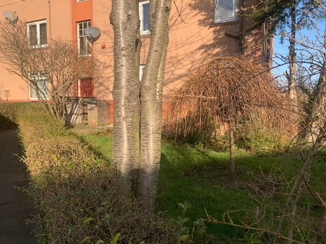 Property to rent in Willowbrae, EH8, Northfield Farm Avenue properties ...