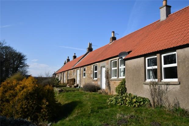 Property to rent in St Andrews, KY16, Burnside Farm Cottage properties ...
