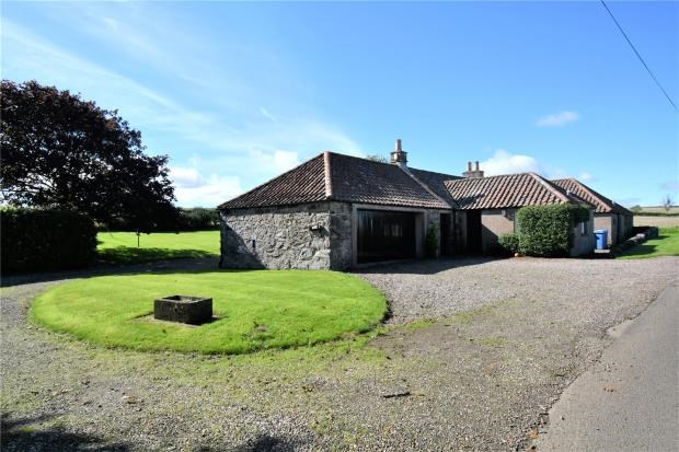 Property to rent in Gauldry, KY15, Moonzie properties from Citylets ...